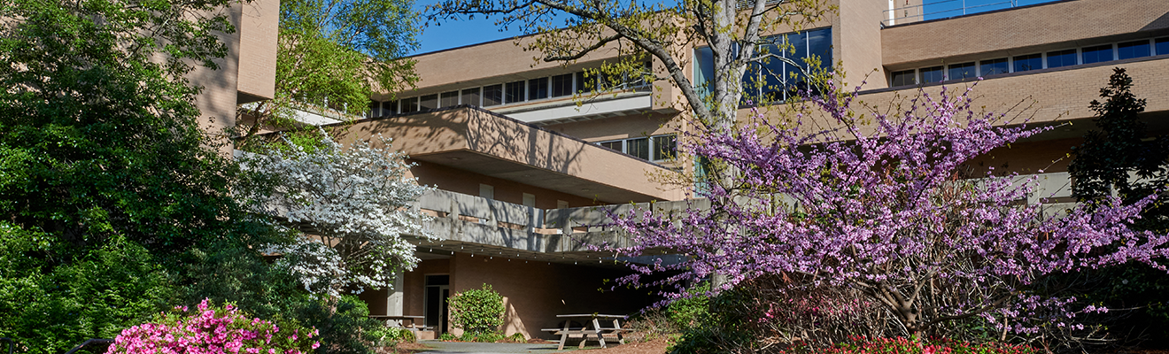 Leadership - Bryan School of Business & Economics